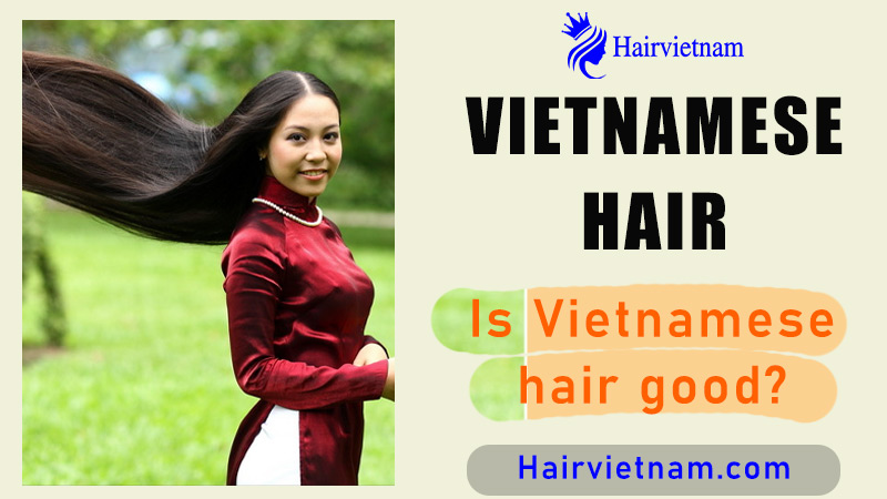 Vietnamese Hair - Top Luxury for Finest Hair Quality