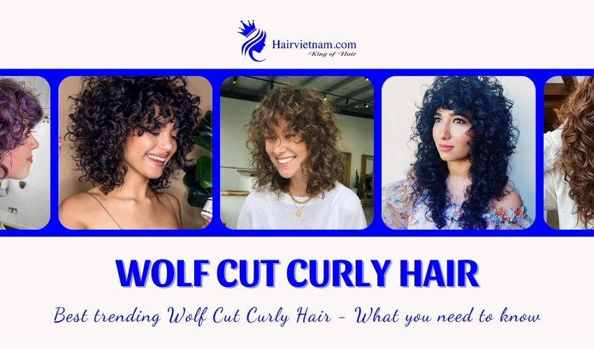 Wolf Cut Curly Hair Ideas for a Fearless New Look