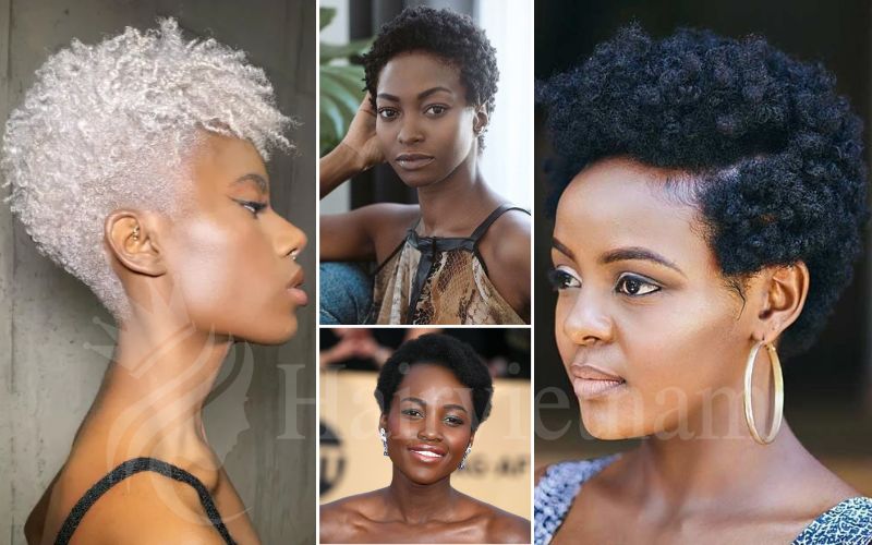 Top 10+ Afro Hairstyles for Natural Hair