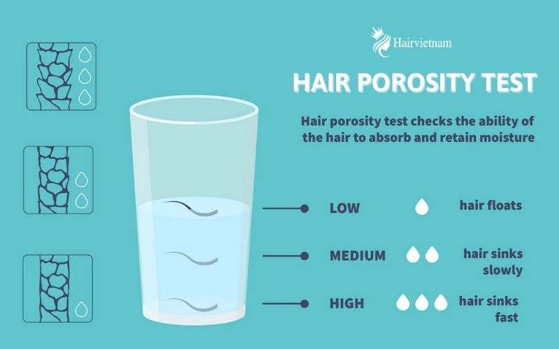 Porosity Hair: Low vs High Porosity Hair Care