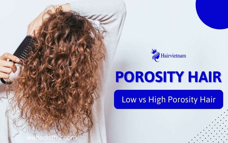 Porosity Hair: Low vs High Porosity Hair Care